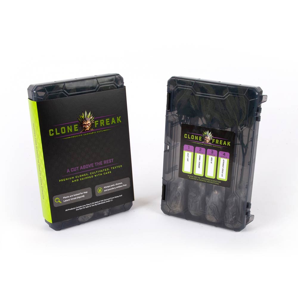 Blueberry Sugar – Clone Freak